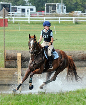 Wandering Angus - Horse Stars Hall of Fame